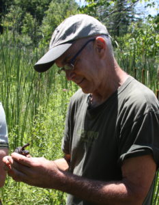 SSAR Leadership Profiles: Herpetology Education Committee – Society for ...